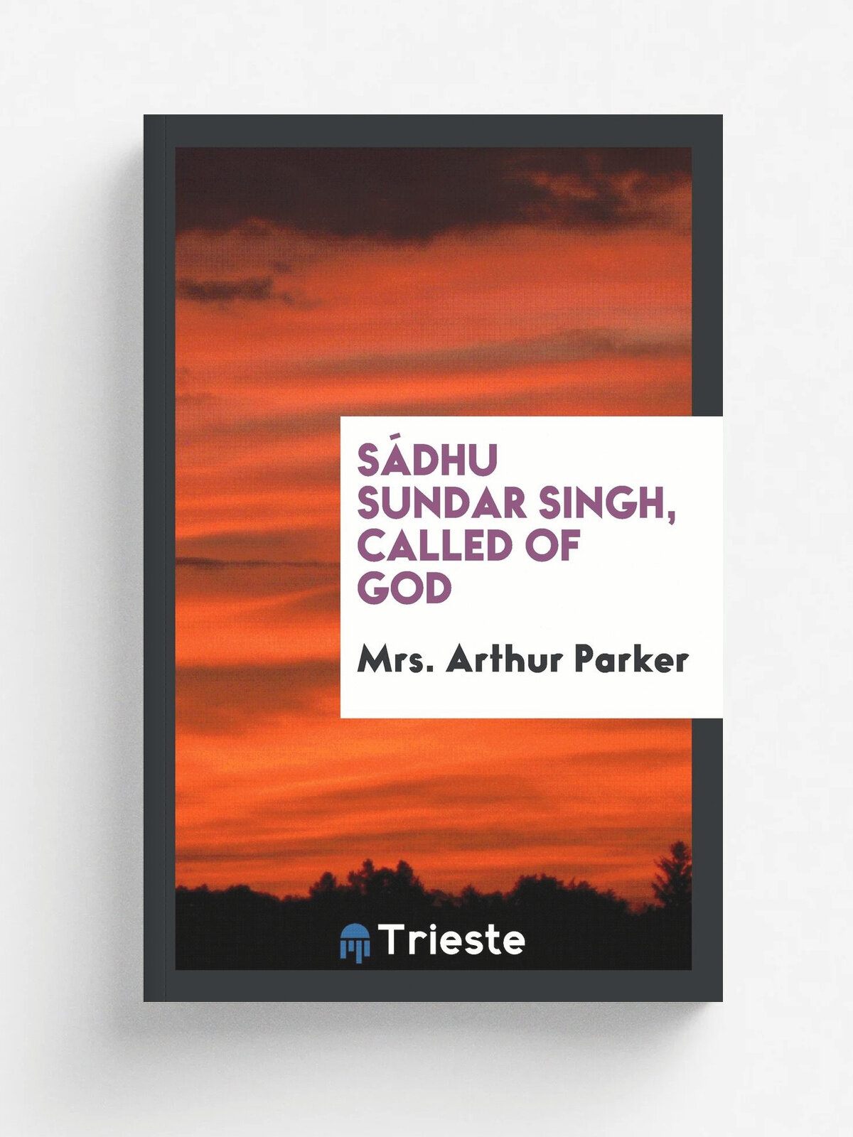 S.dhu Sundar Singh, Called of God