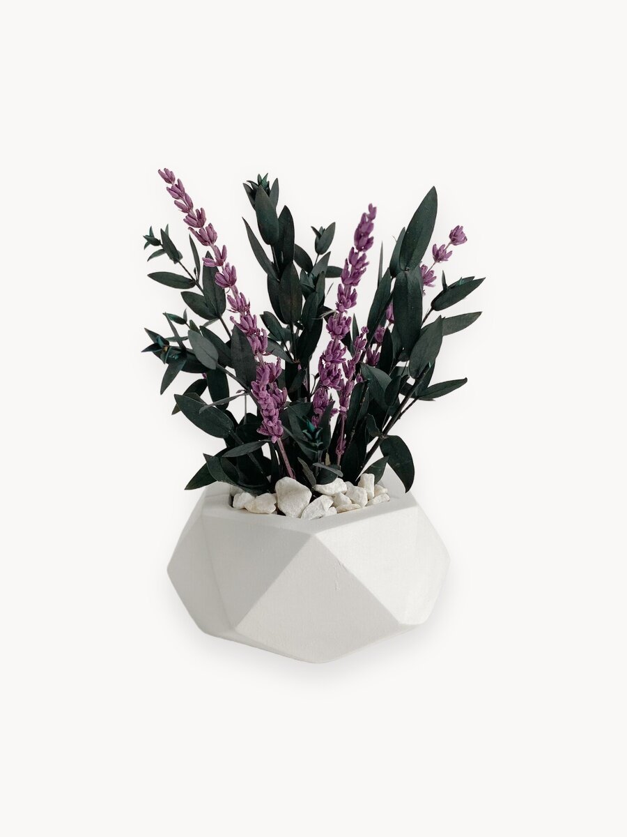 Букет стабилизированного эвкалипта и лаванды в кашпо, букет для декора дома, букет из сухоцветов