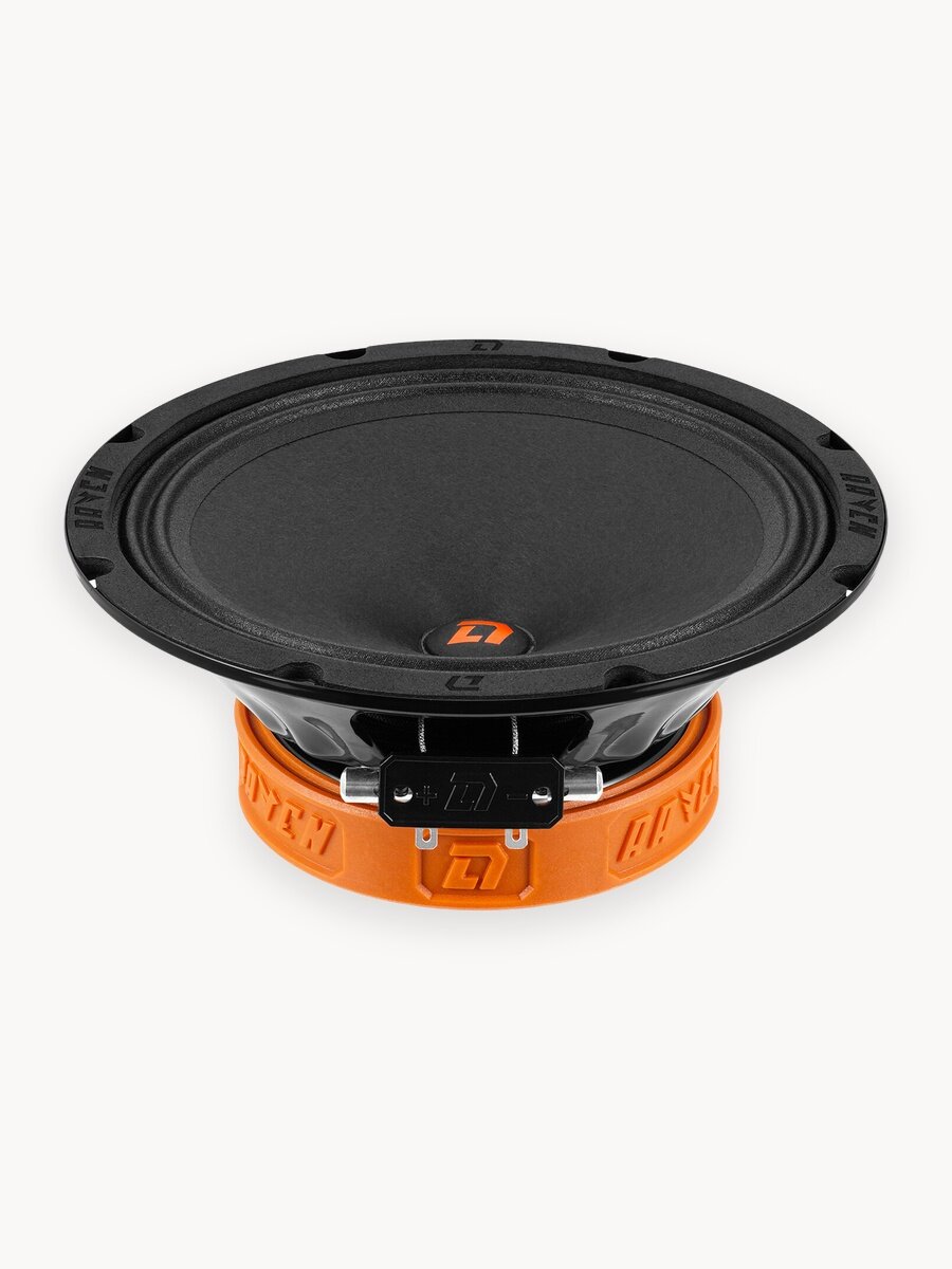 Динамики автомобильные 20 см DL Audio Raven 200 V.2 пара 125Вт
