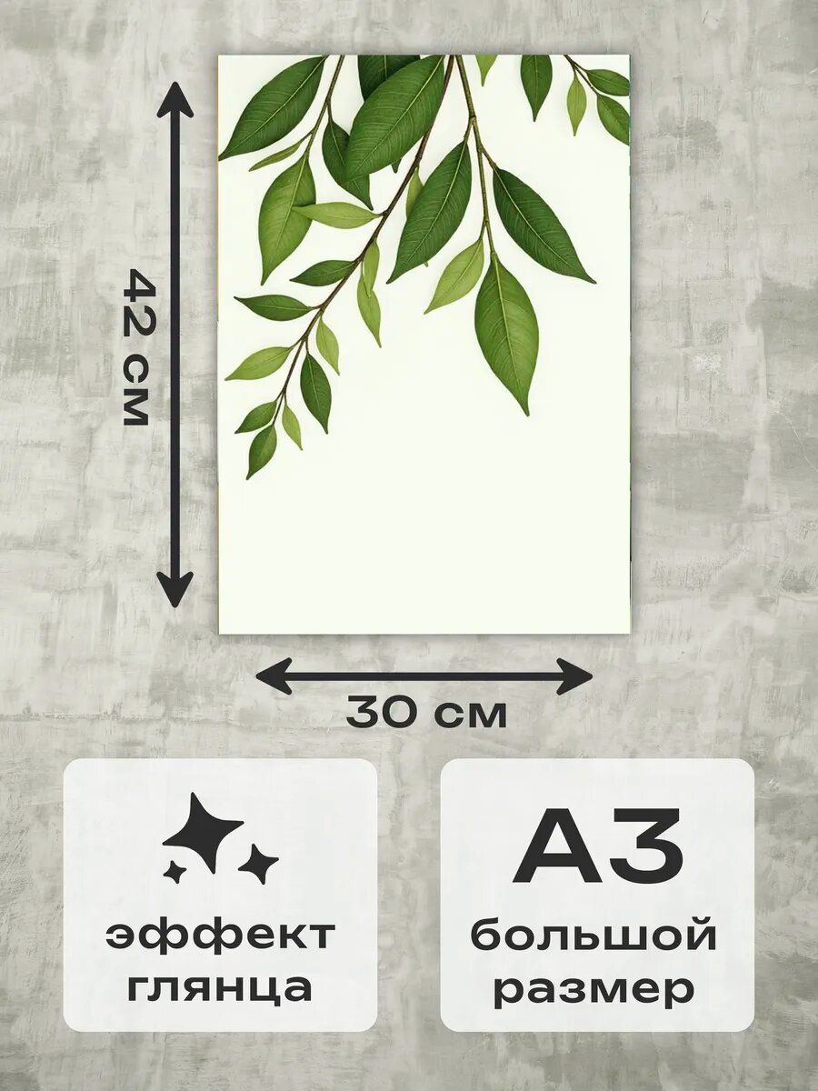 Постер на стену Зелень — фото 1