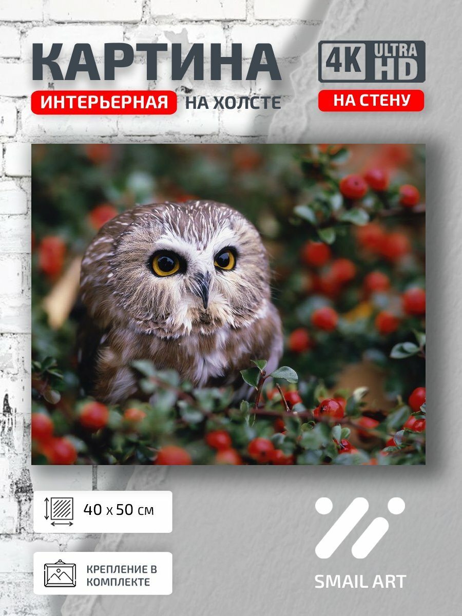 Картина на холсте интерьерная 40 на 50 на стену Кусте Animal для спальни animal style декор