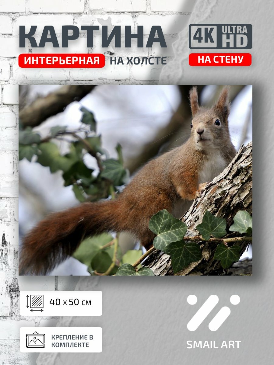 Картина на холсте интерьерная 40 на 50 на стену Дереве Mood для студии атмосфера интерьер