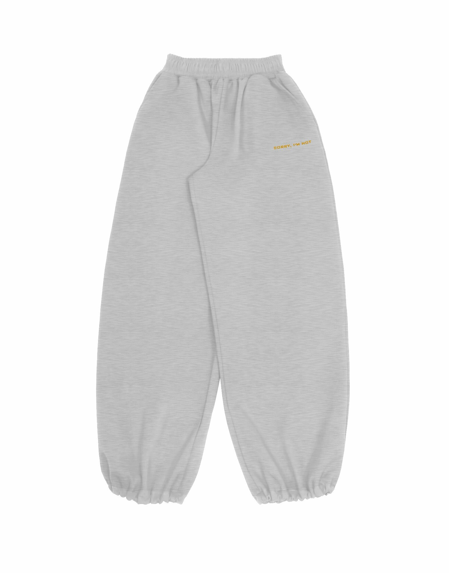 Брюки спортивные BAGGY WARM