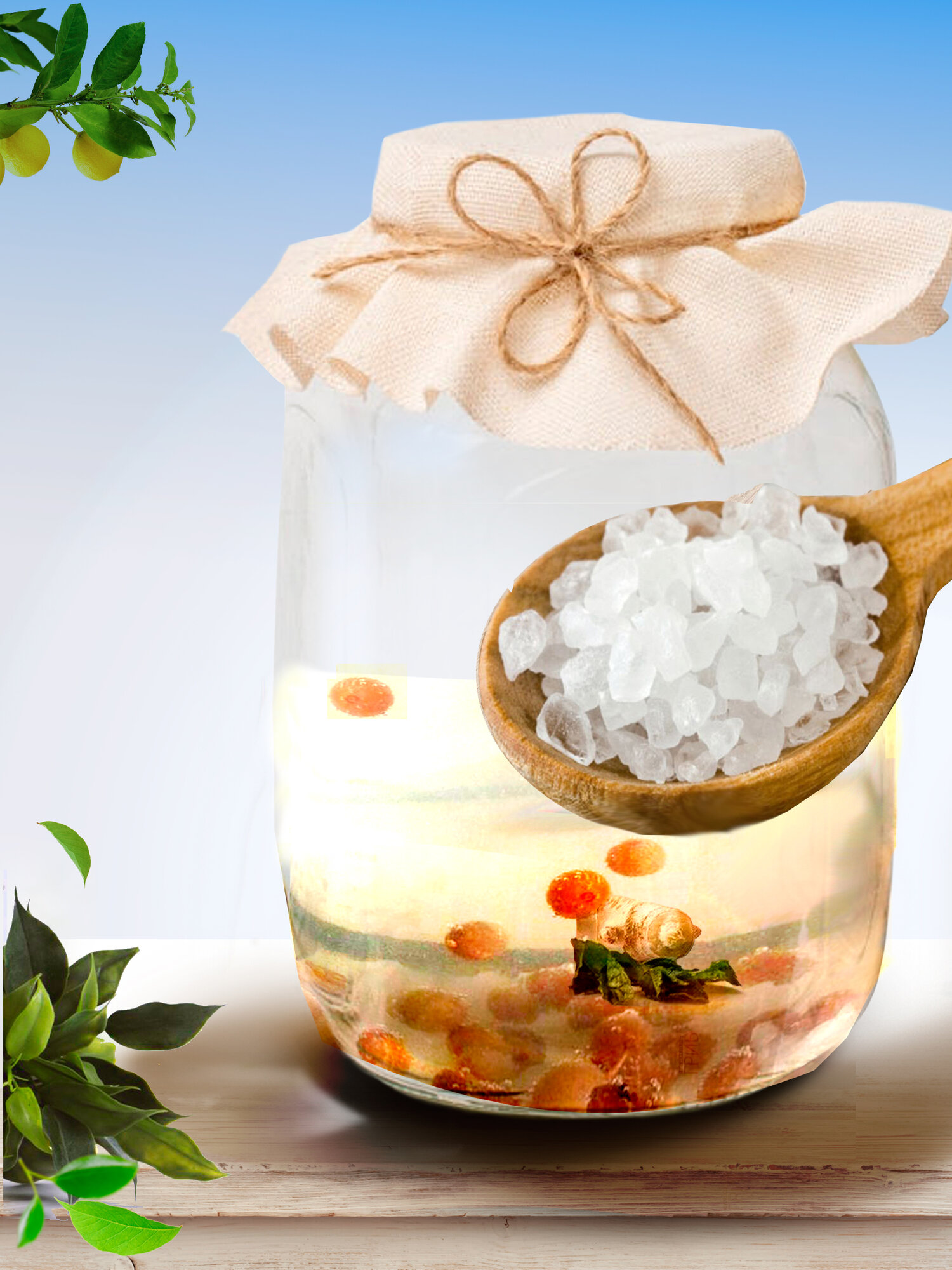 Индийский морской гриб TALIA, в живом виде, белого цвета, двойного брожения