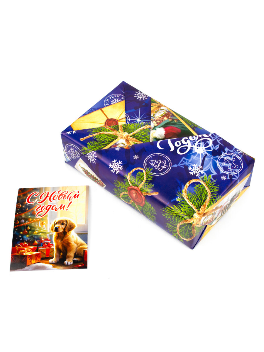 Паяльник Miniware TS101 в подарочной новогодней упаковке, комплект