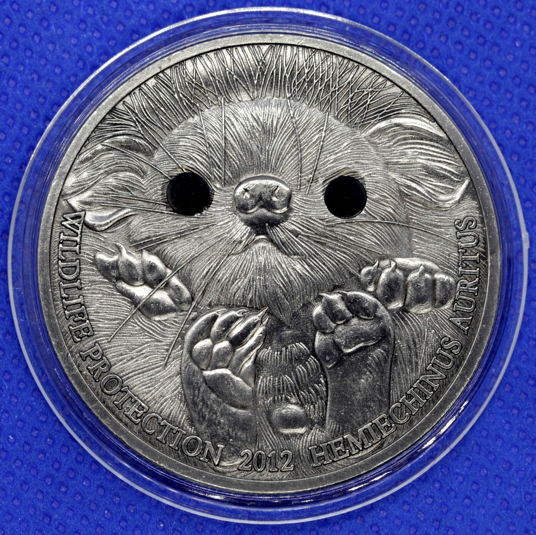 Монета 500 тугриков 2012 Еж Монголия Фауна Цветные глаза. Копия монеты