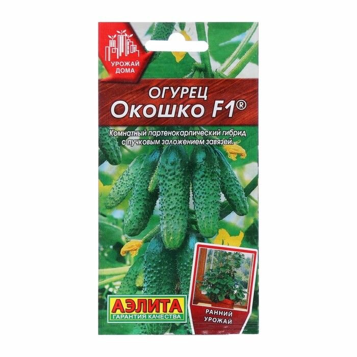 Семена Огурец Окошко, F1- скороспелый , пучковый , самоопыляемый, балконный ( 10 семечек ), аэлита
