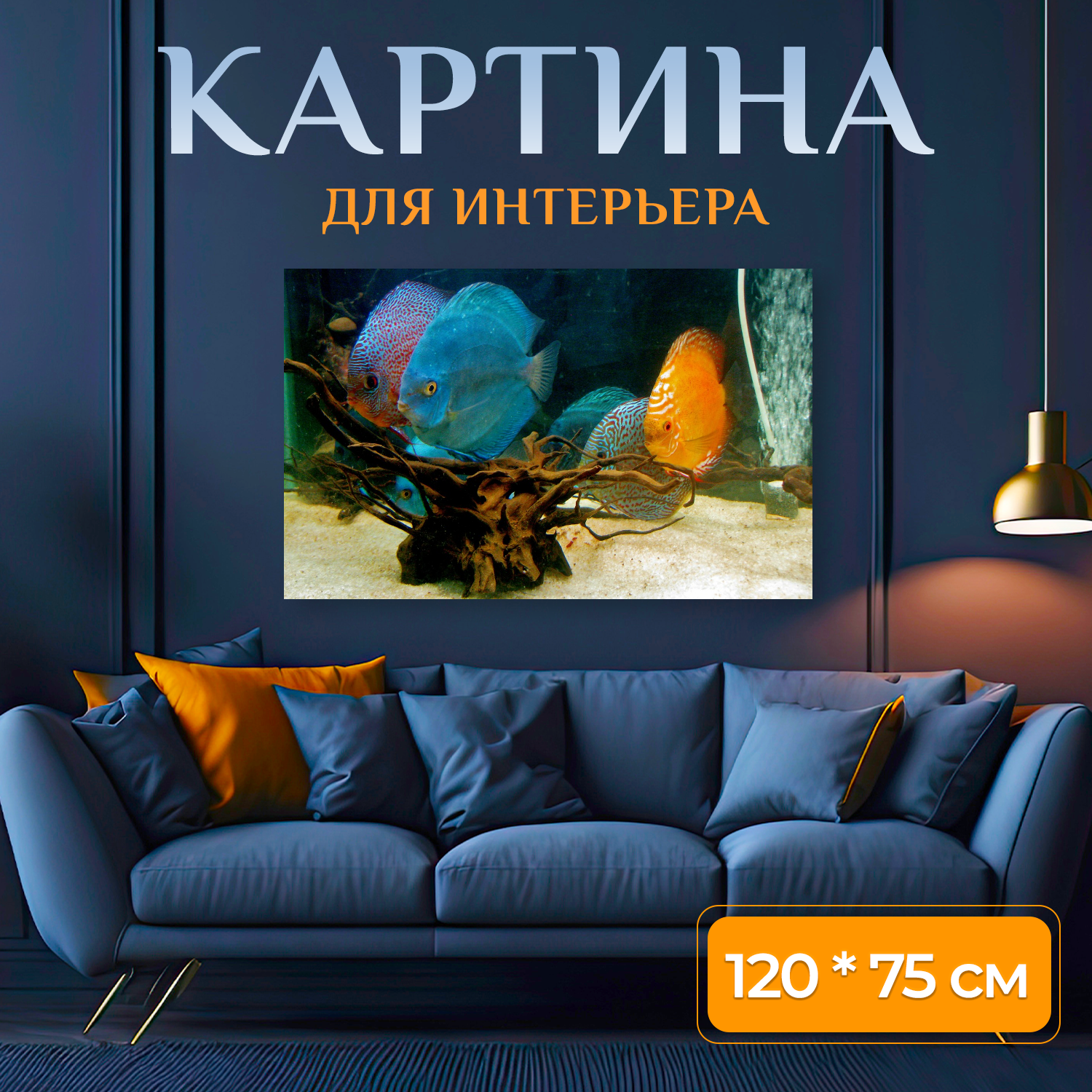 Картина на холсте "Дискус, рыбы, аквариум" на подрамнике 120х75 см. для интерьера