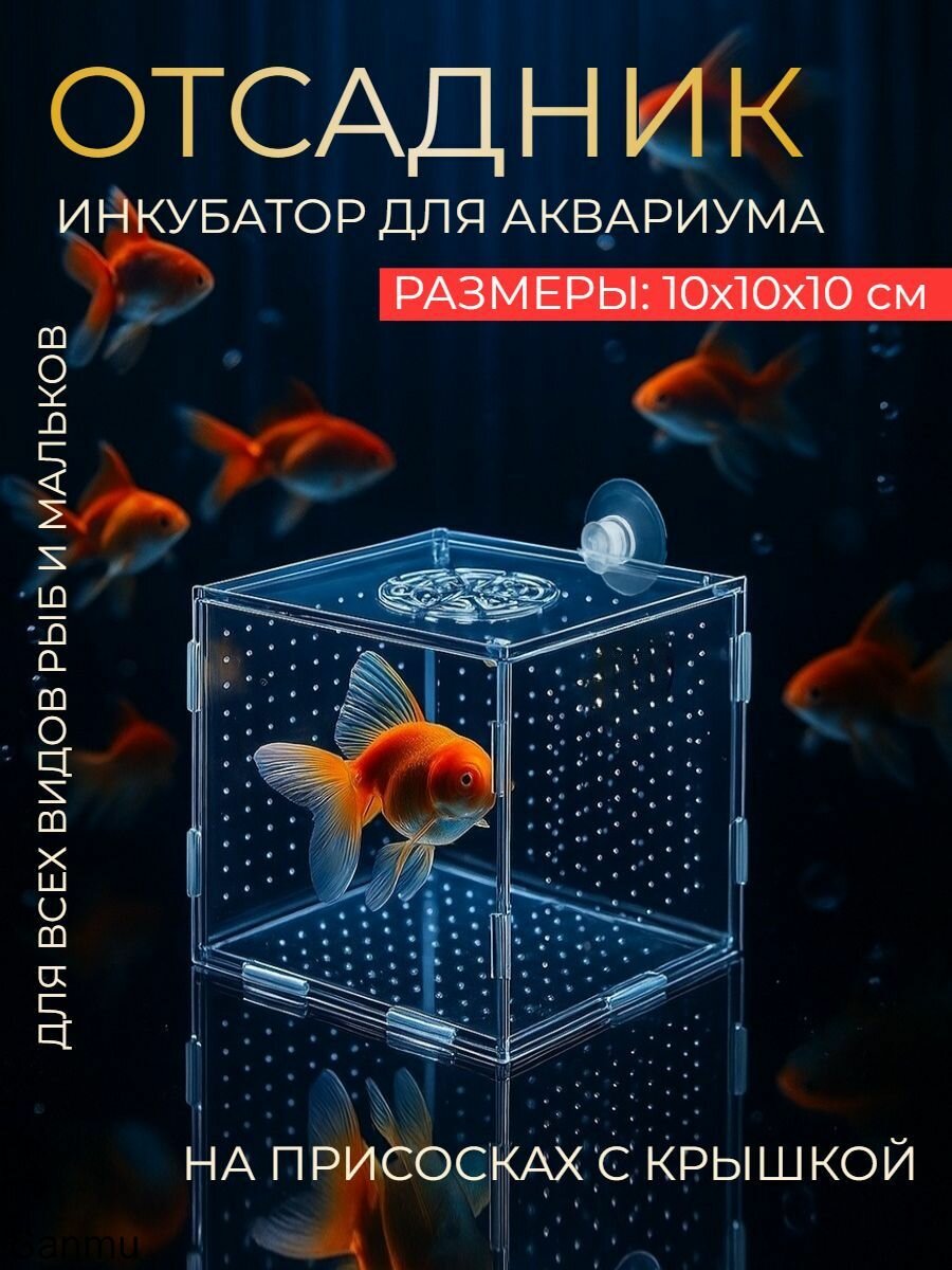 Отсадник для рыб инкубатор для мальков в аквариум 10х10х10 см
