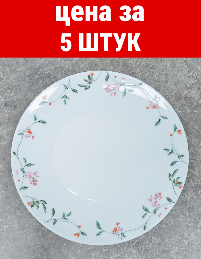 Комплект 5 шт, PARS OPAL NAHAL Тарелка обеденная 25см, опаловое стекло