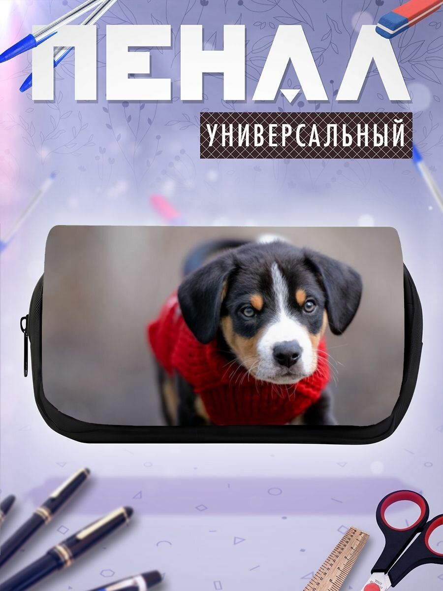 Школьный пенал пес собака породы