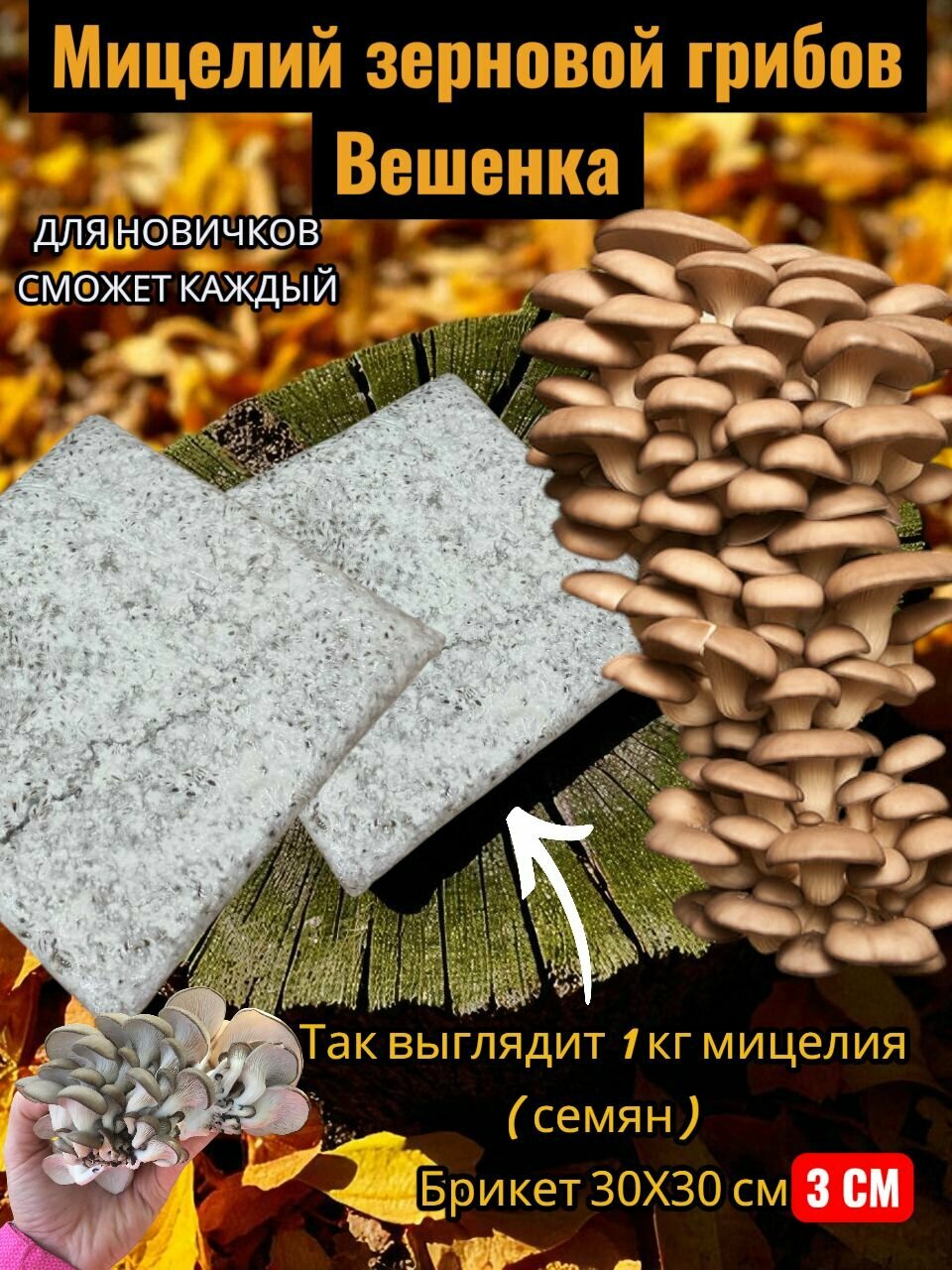 Мицелий вешенки зерновой (штамм М5) - 1 кг