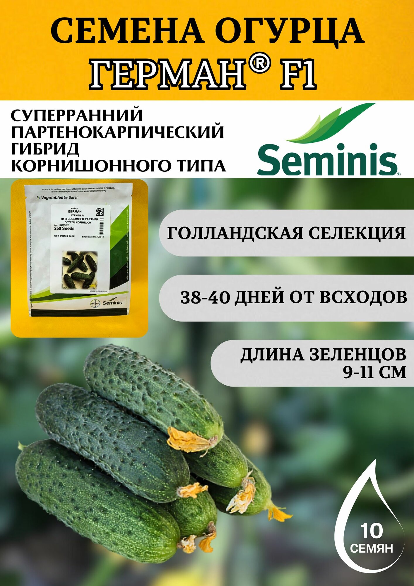 Огурец корнишон Герман F1 10 семян Seminis, профессиональные семена