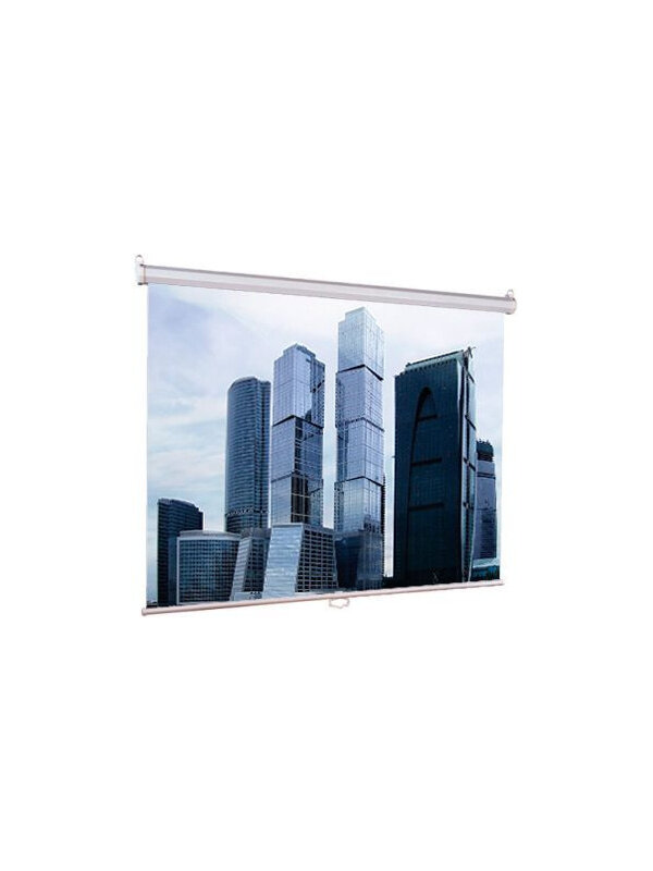 Проекционный экран Lumien Eco Picture 206x274 LEP-100115