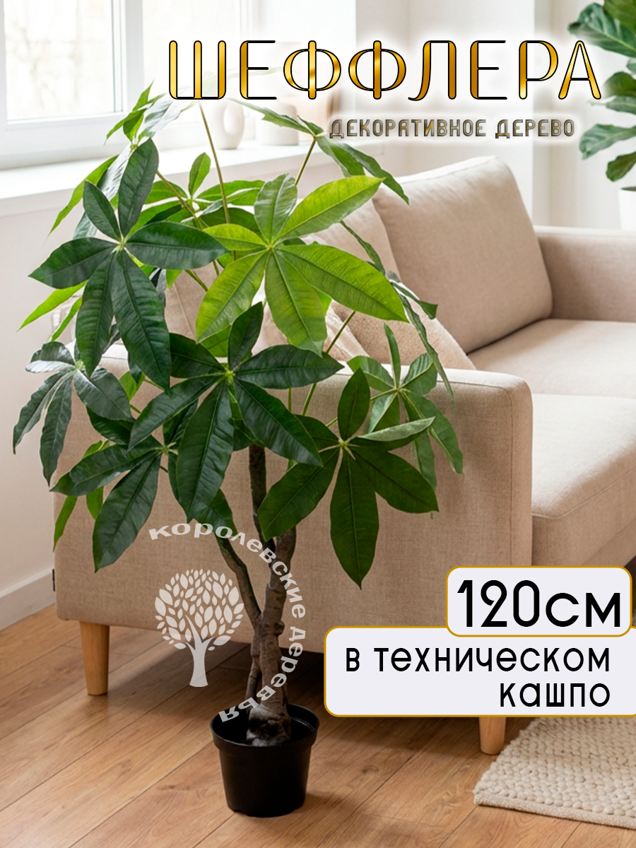 Искусственное дерево Королевские Деревья "Шеффлера", 120см, в кашпо