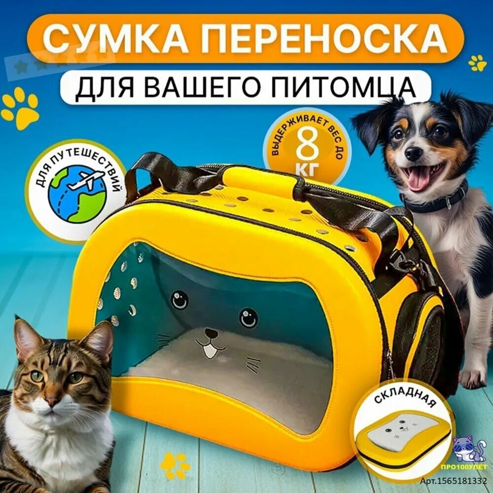 Переноска сумка для кошек и собак пластиковая прозрачная складная