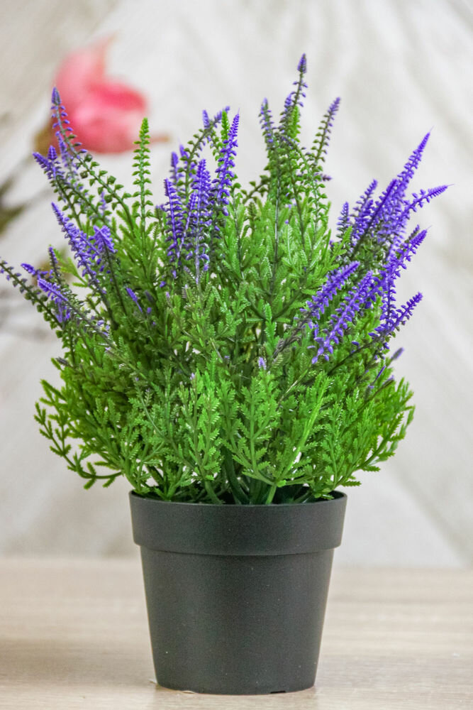 Искусственные цветы в горшке вереск, 23 см, Summer Deco 5010102