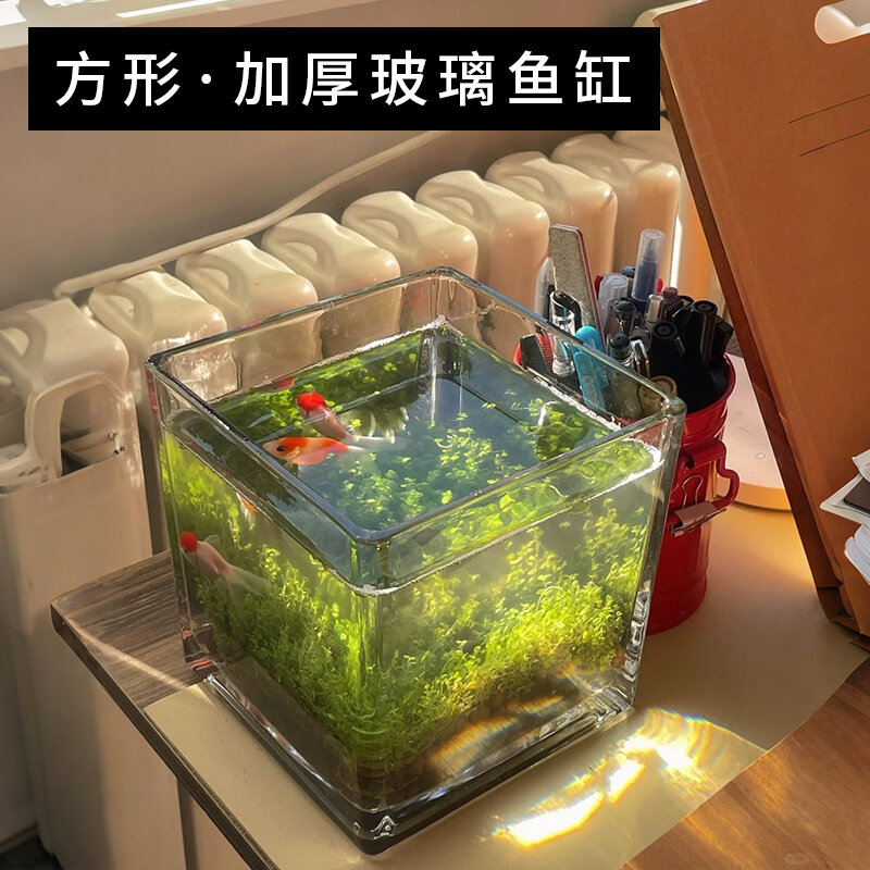 Квадратный стеклянный аквариум, 10 см диаметр x 30 см высота, большой настольный аквариум для дома и декора с рыбками