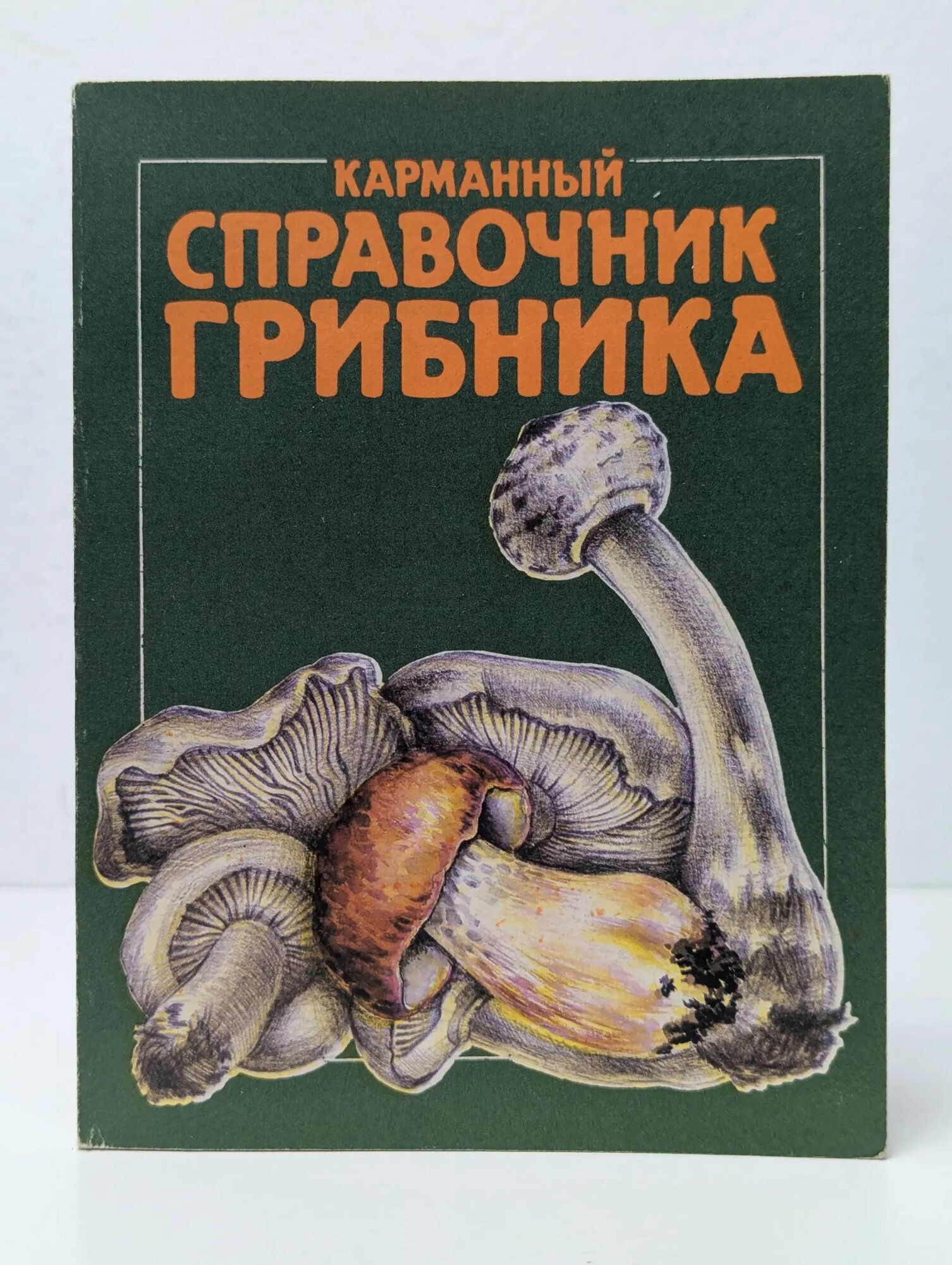 Карманный справочник грибника Родионова Светлана Викторовна 1993