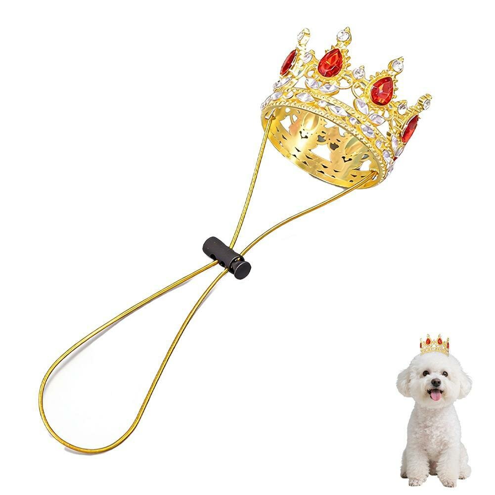 Домашняя корона - головной убор для кошек и собак