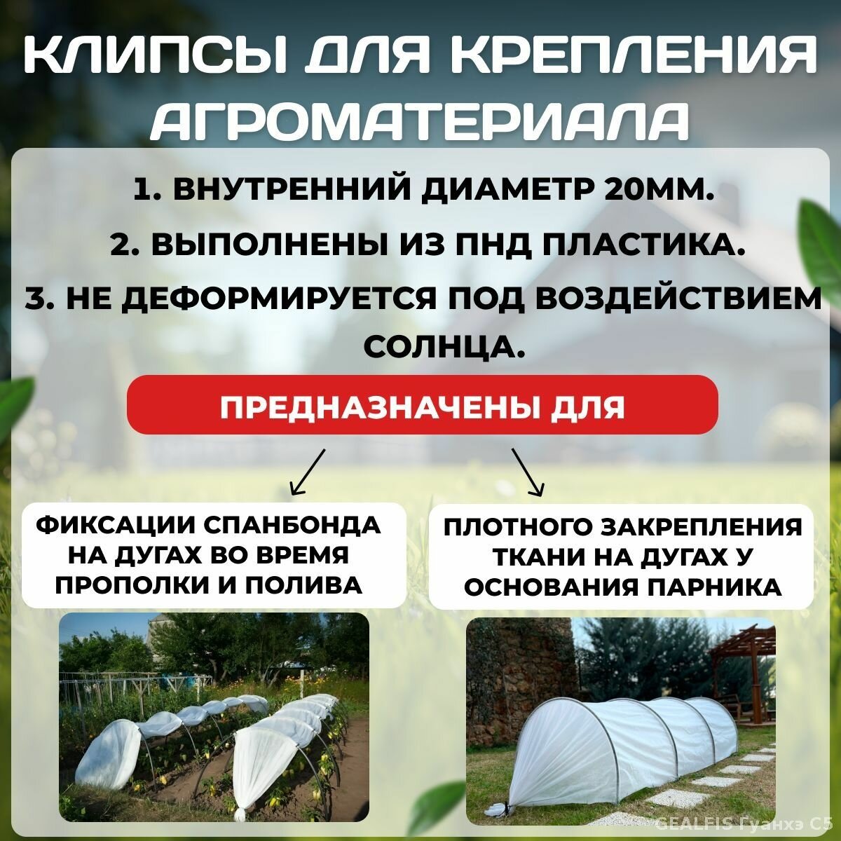 Теплица — фото 1