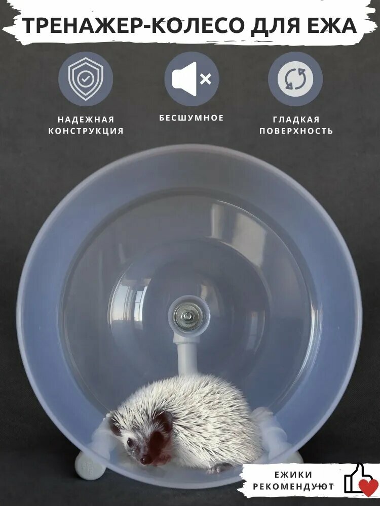 Беговое колесо для животных