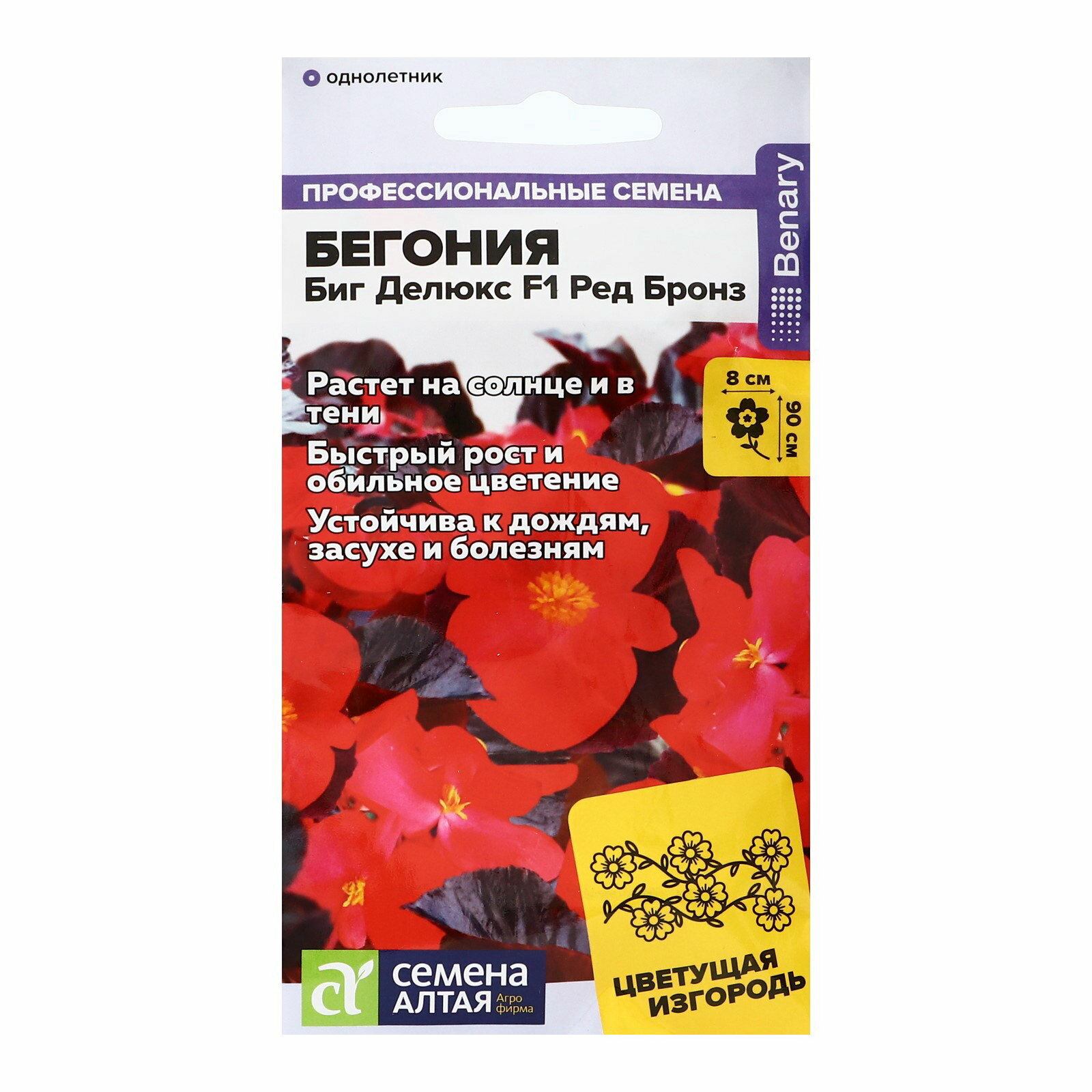 Семена цветов Бегония "Биг Делюкс" F1, ред бронз, 3 шт, посев на рассаду: декабрь