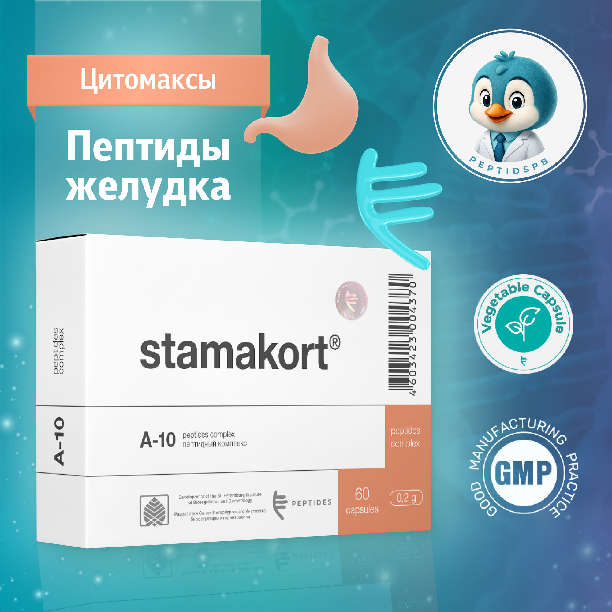 Стамакорт N60 - пептидный комплекс для слизистой желудка (60 капсул) I поддержка пищеварительной системы