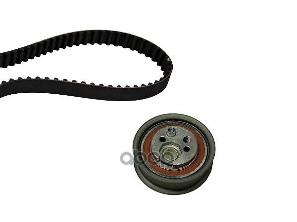 530 0392 10_Комплект ремня ГРМ Ina арт. 530039210