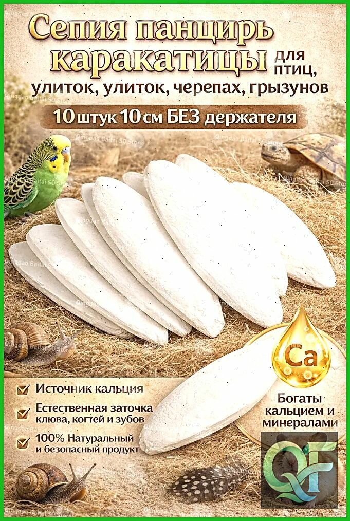 Сепия панцирь каракатицы для птиц, улиток, черепах, грызунов 10 штуки 10 см без держателя