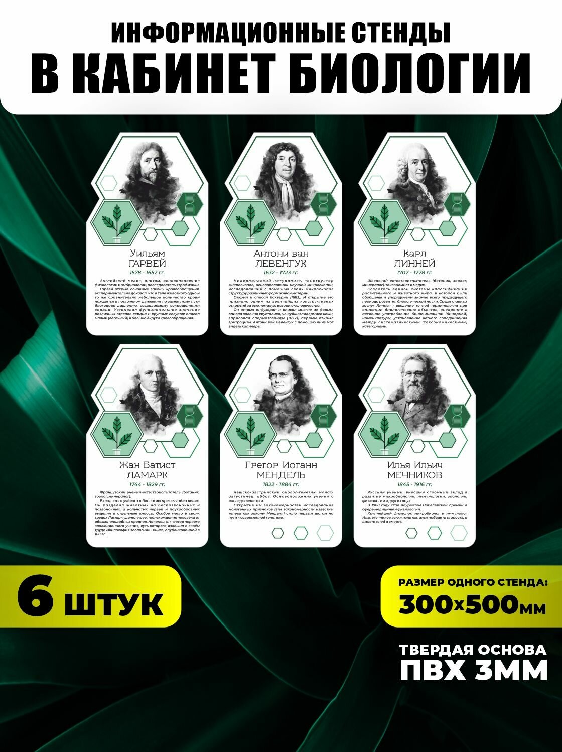 Комплект стендов Биологи, цвет белый, набор 6 шт, VoloMar