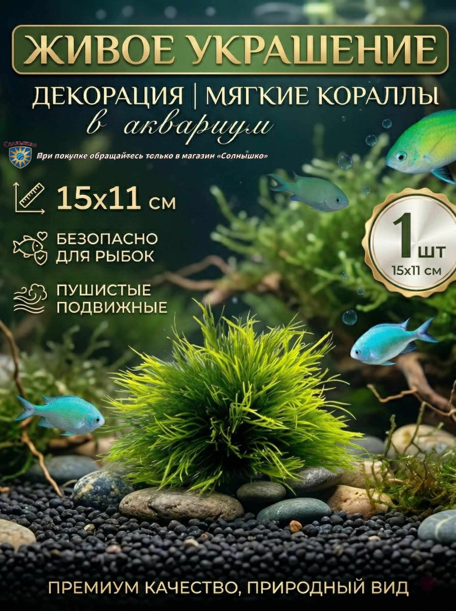 Зеленый-ROMIKY