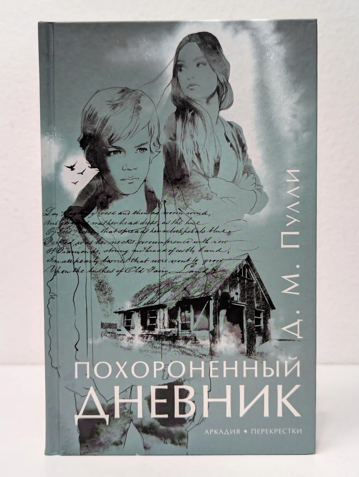 Перекрестки. Похороненный дневник Пулли Д. М. 2018