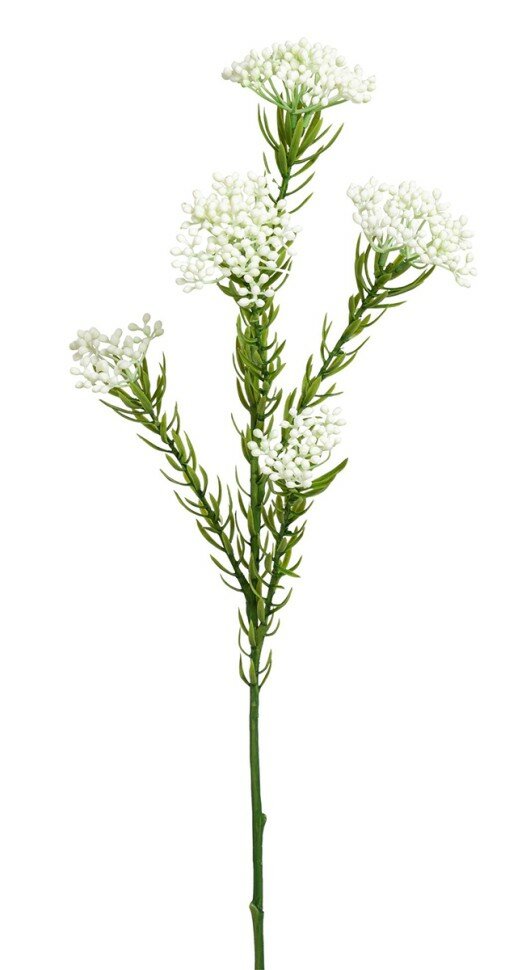 Fiebiger Floristik 206160-100 Ветка декоративная "Рисовый цветок", 72 см