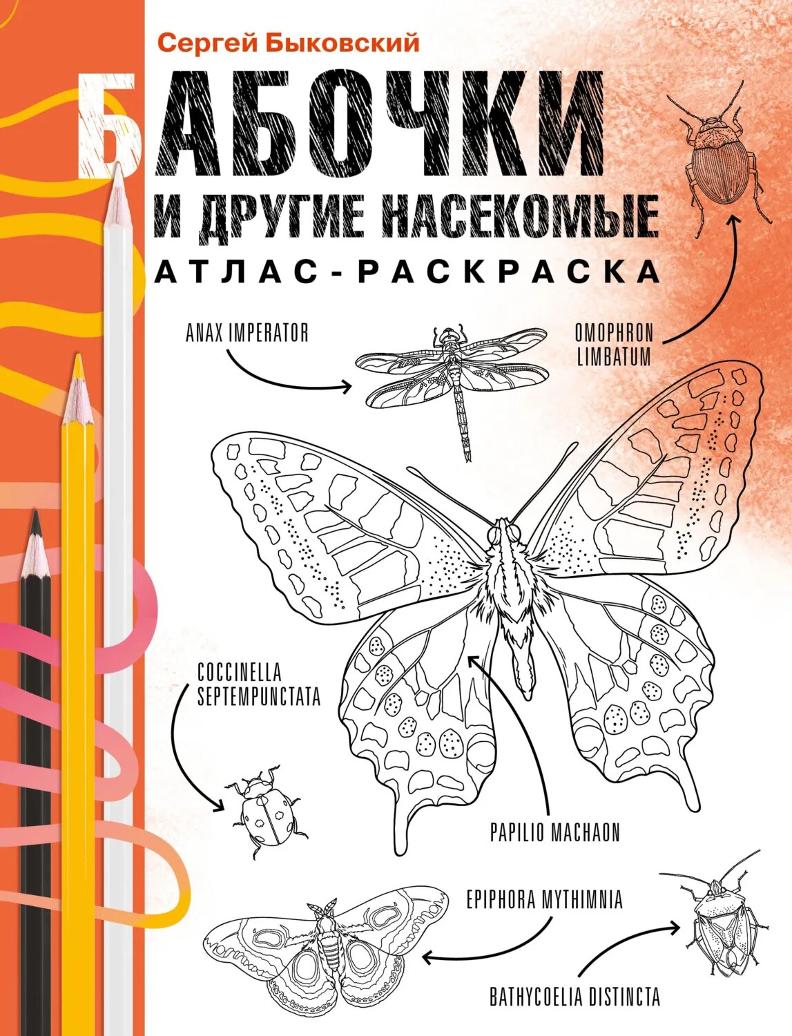 Бабочки и другие насекомые. Атлас-раскраска [Цифровая книга]