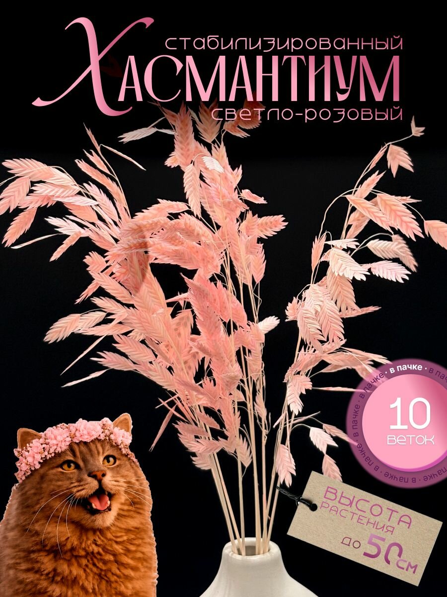 Хасмантиум стабилизированный светло-розовый, 10 шт