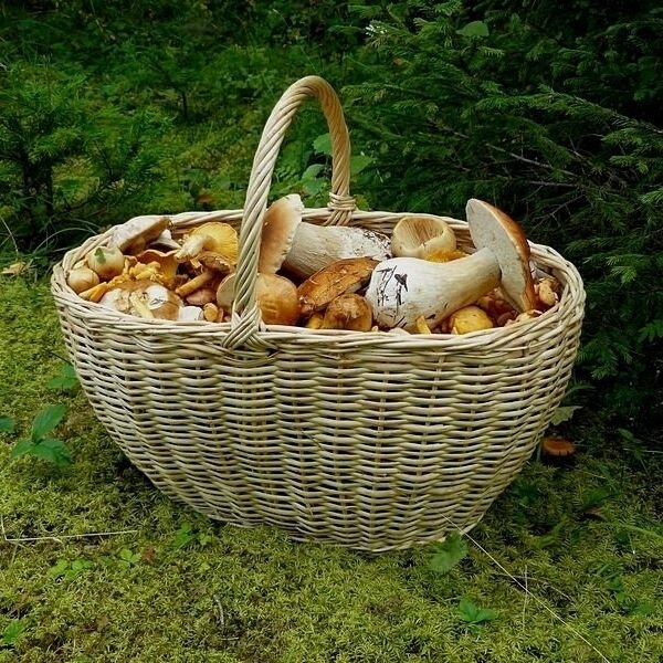 Корзина плетеная грибная овальная из прута (30 л.), ручное плетение из лозы