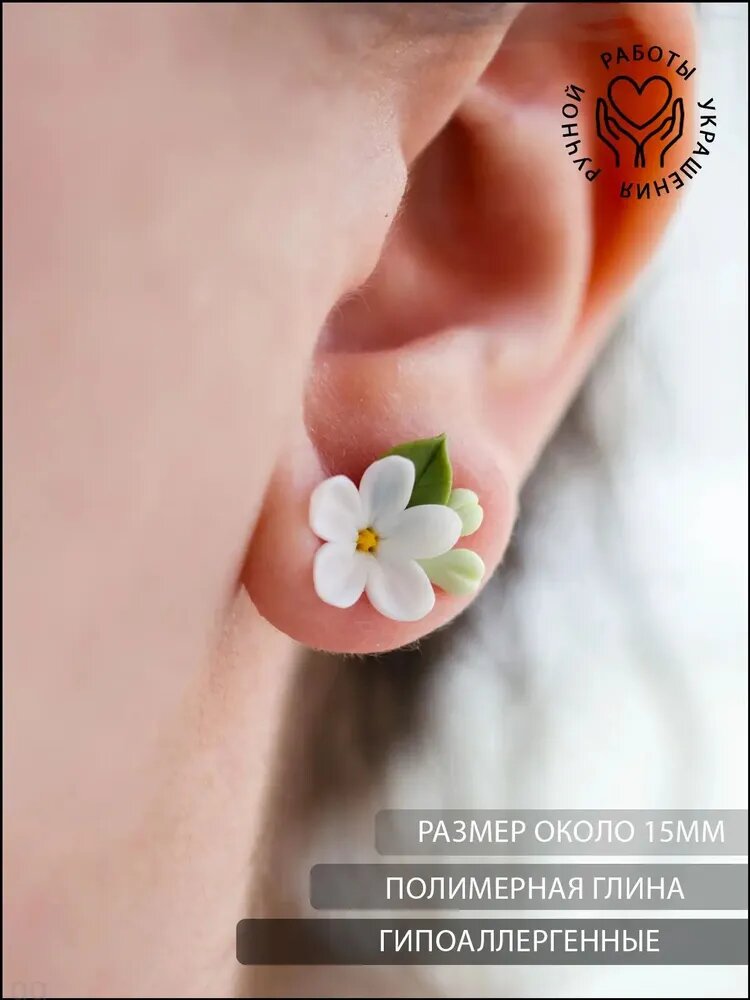 Серьги