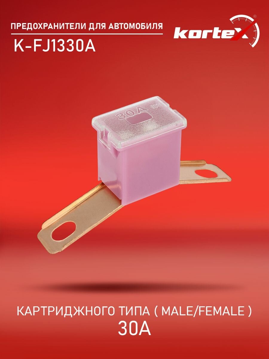 Предохранитель картриджного типа ( male/female ) 30A
