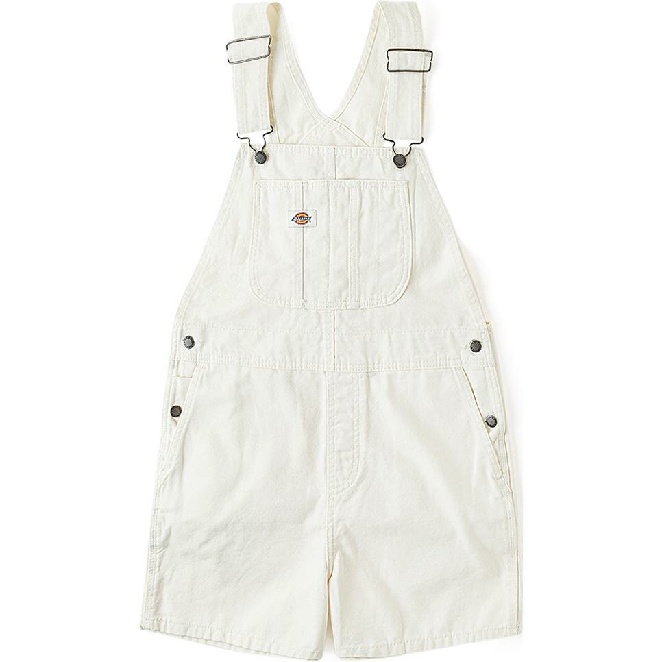 Комбинезон сноубордический Dickies