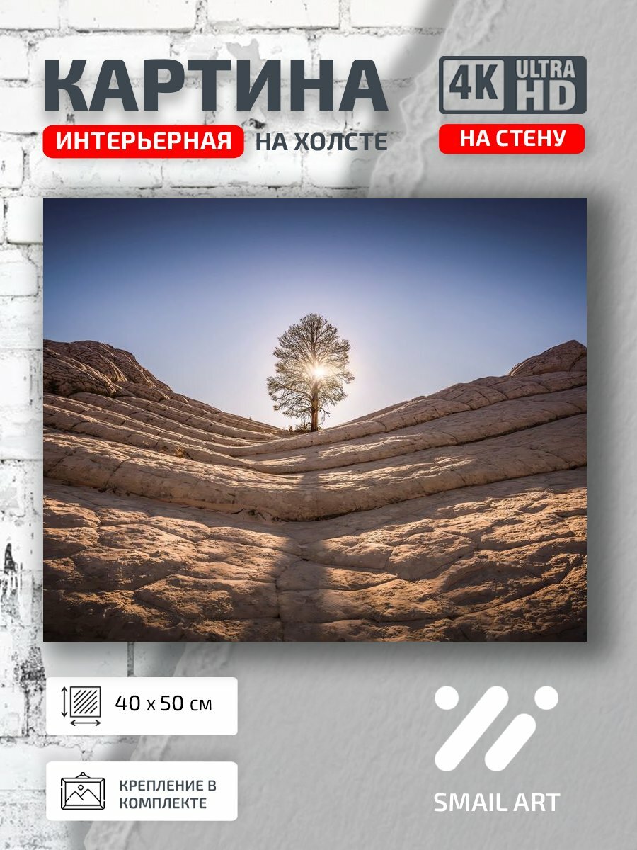 Картина на холсте интерьерная 40 на 50 на стену Лучи Landscape для спальни пейзаж интерьер