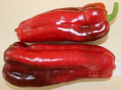 Коллекционные семена перца сладкого РИД