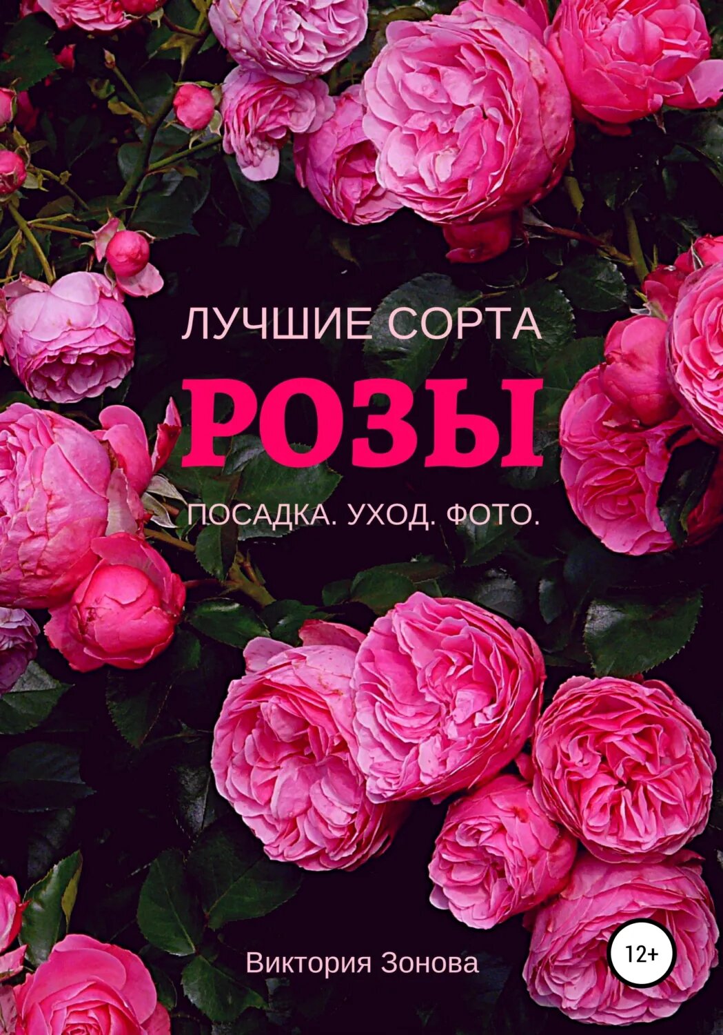 Розы. Лучшие сорта [Цифровая книга]