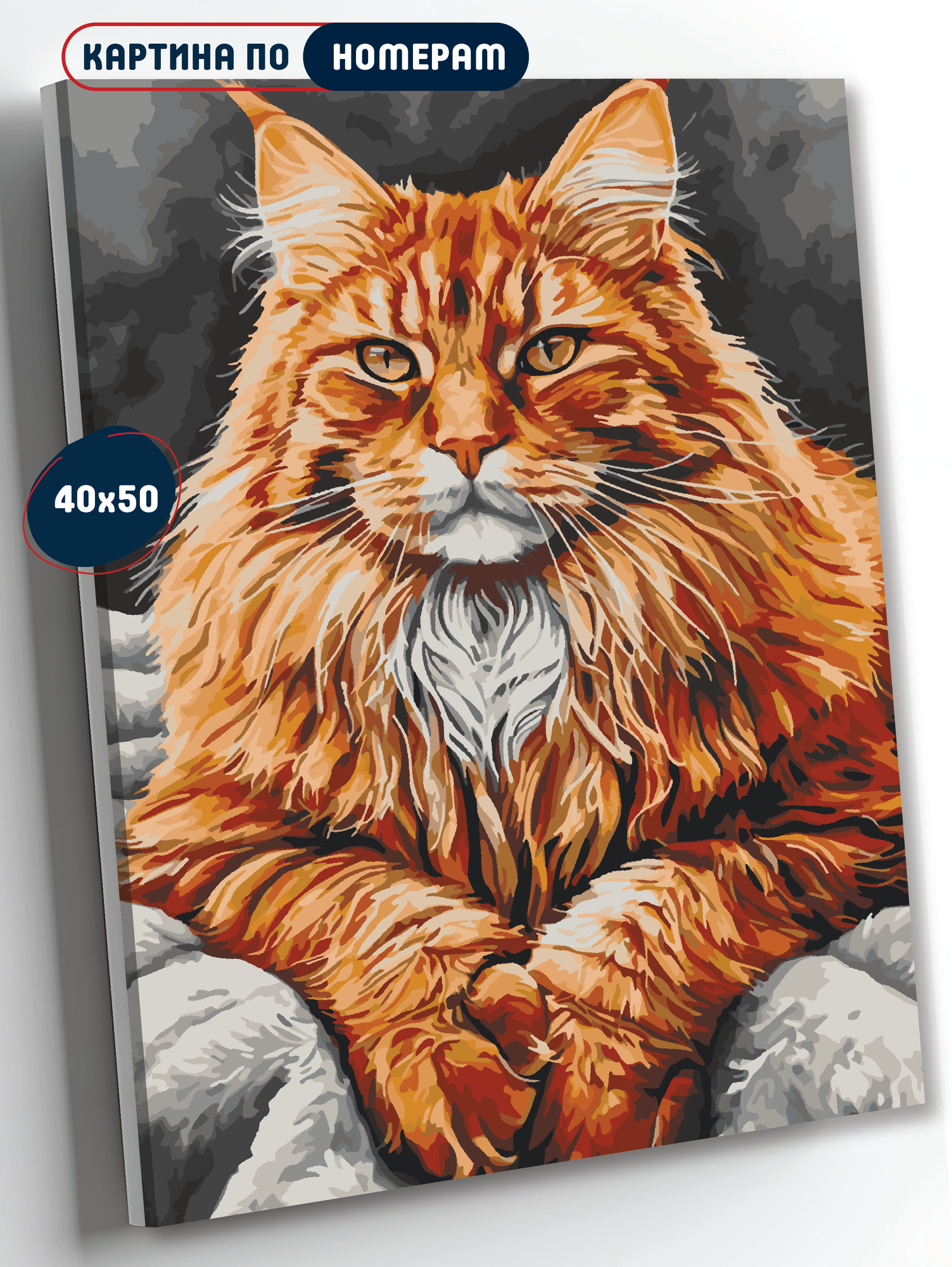 Картина по номерам "Мейн-кун_1", Холст на подрамнике 40х50, набор для рисования