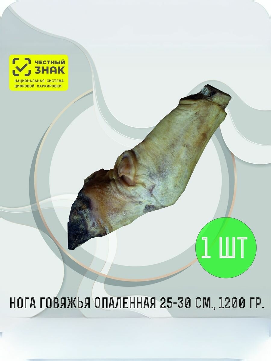 Нога говяжья с сухожилиями сушеная 25-30 сантиметров 1000-1200 грамм.