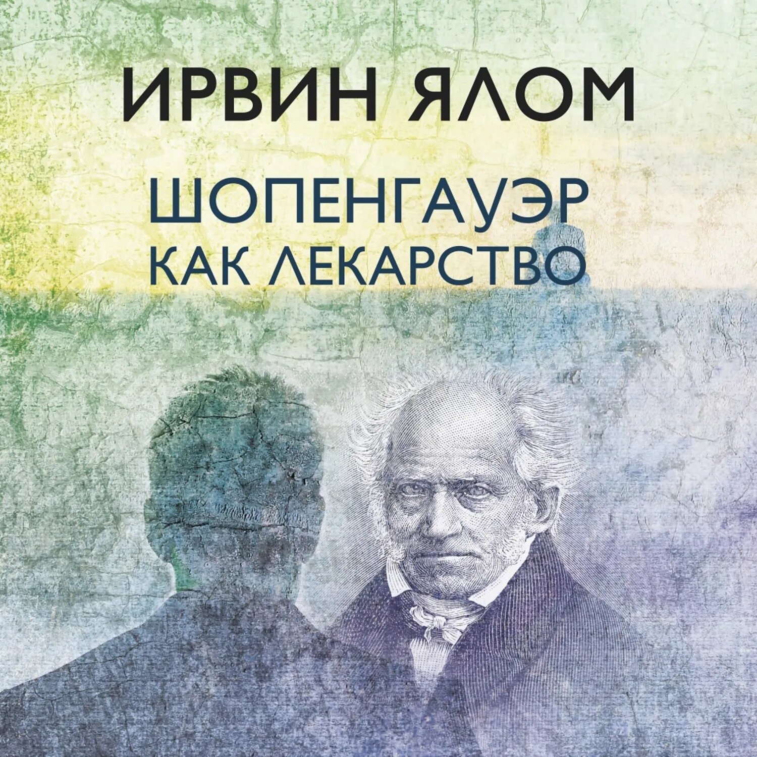 Шопенгауэр как лекарство [Аудиокнига]