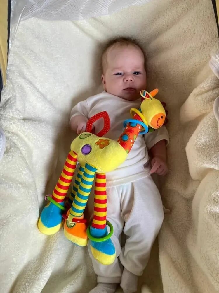 Мягкая игрушка подвесная развивающая, подвеска погремушка на коляску, с силиконовым прорезывателем жираф