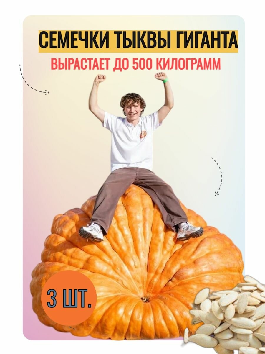 Семена тыквы гигант