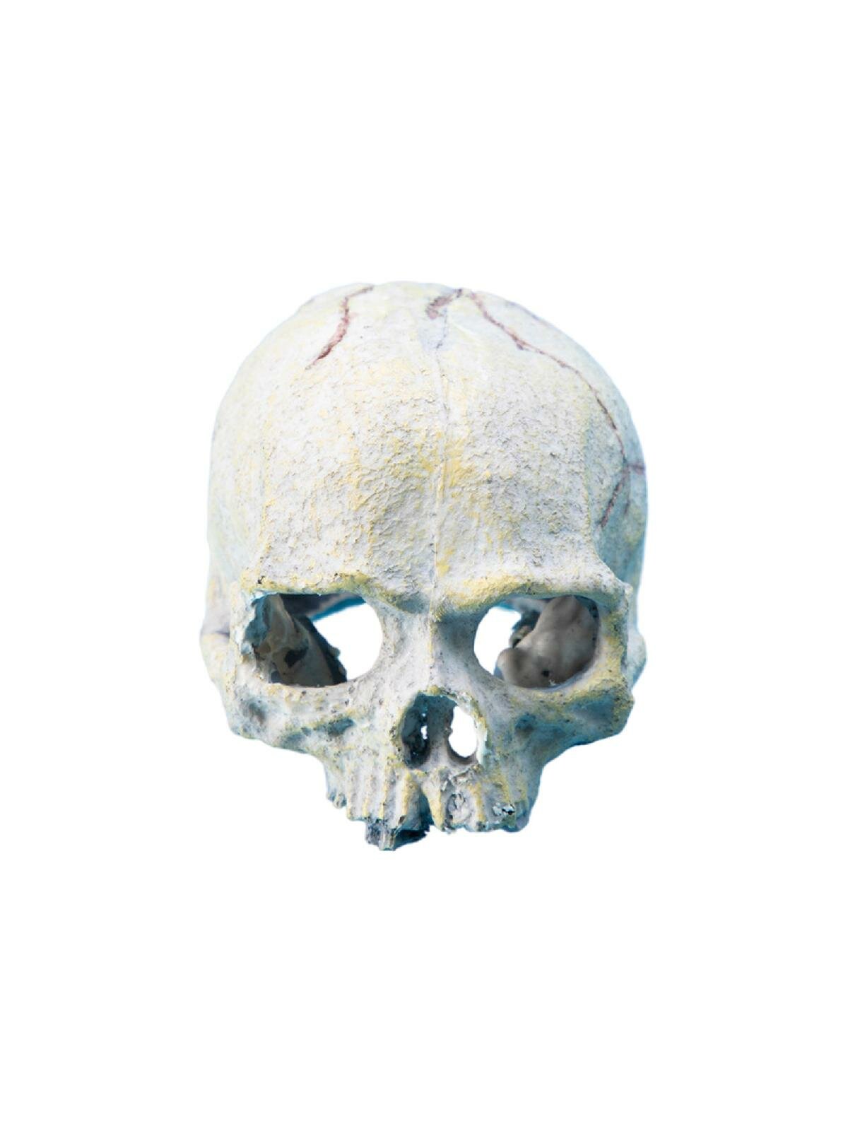 Декоративное украшение Черепа Скрытое украшение для террариумов Аквариумов Ландшафта