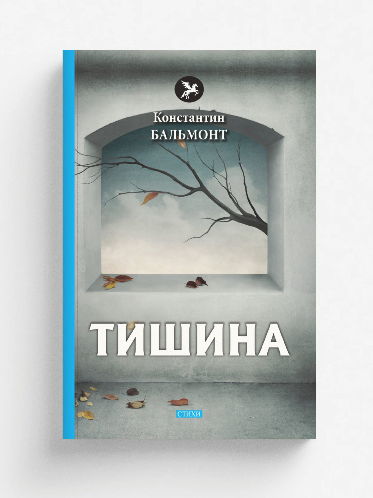 Тишина. Сборник стихов